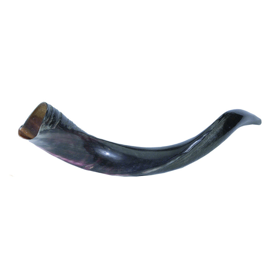 Yemenite Shofar (Mini) - 1116 – Holy Land Gifts