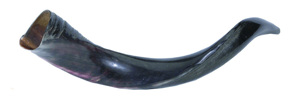 Yemenite Shofar (Mini) - 1116 – Holy Land Gifts
