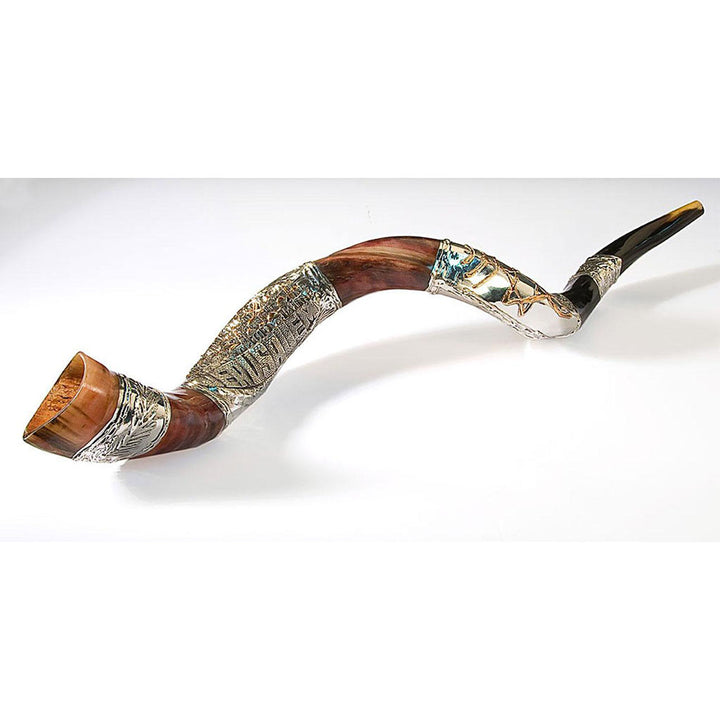 Yemenite Shofars – Holy Land Gifts