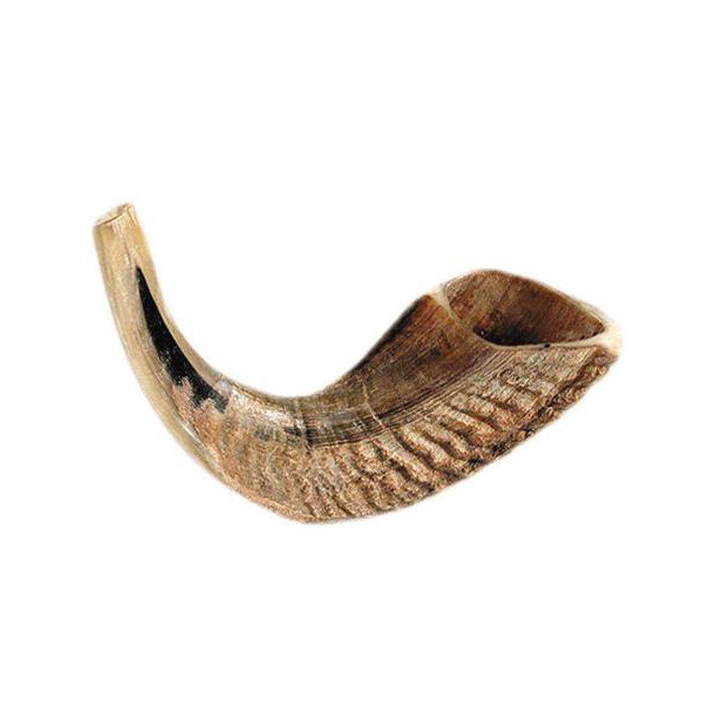 Ram's Horn Shofars – Holy Land Gifts
